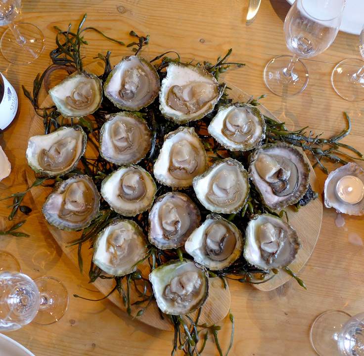 Østers – den perfekte supermaten